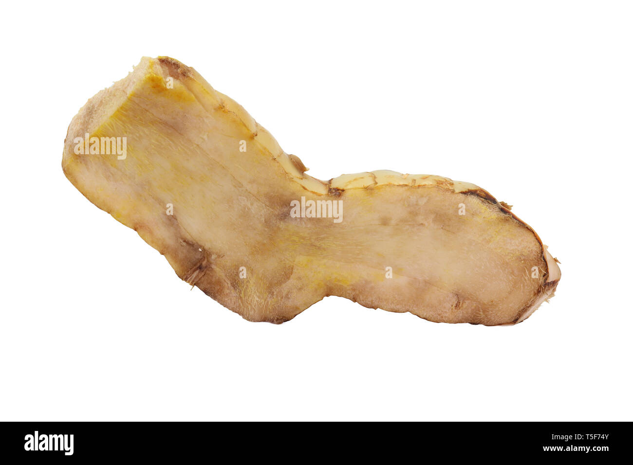 Galangal is a rhizome of plants Herbs isolated on white background ...