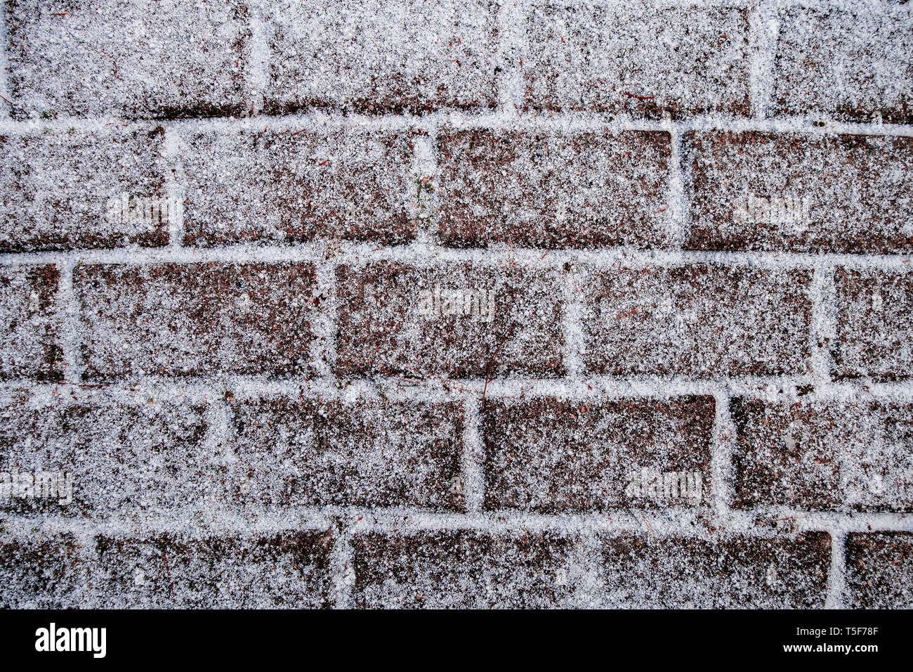 Light dusting of snow texture hi-res stock photography and images - Alamy