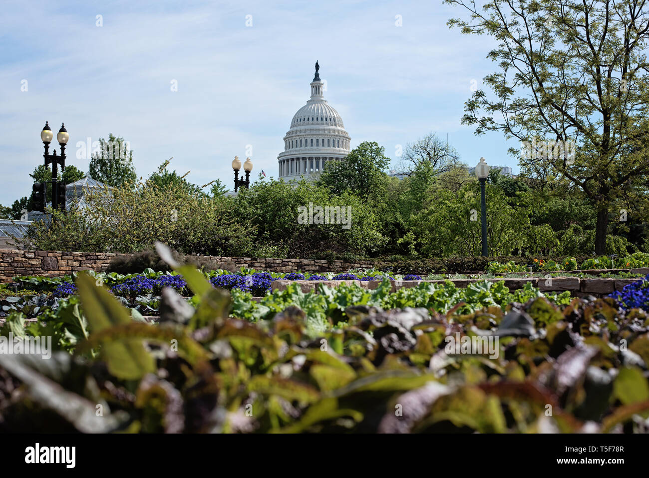Us capitol view hi-res stock photography and images - Alamy