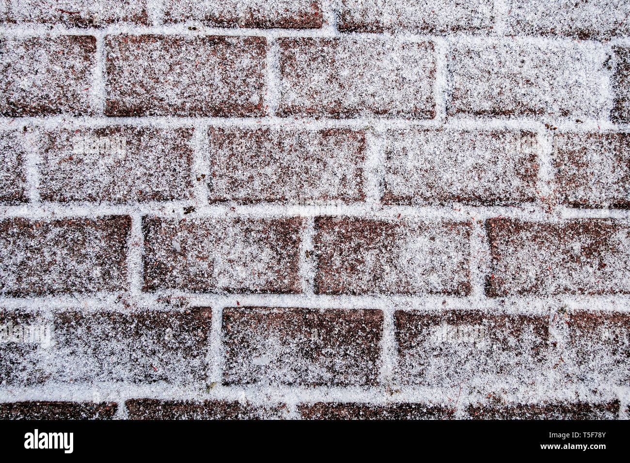 Light dusting of snow texture hi-res stock photography and images - Alamy