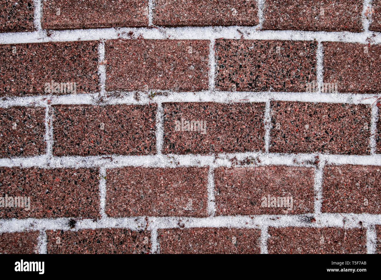 Light dusting of snow texture hi-res stock photography and images - Alamy