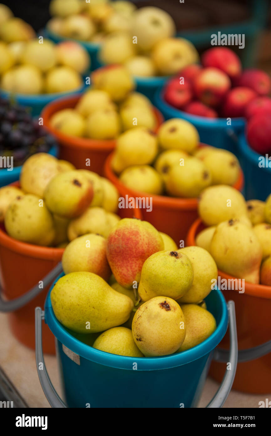 Ripe pears in bucket hi-res stock photography and images - Alamy