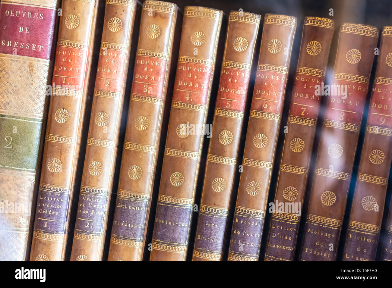 Beautiful ancient old books on shelf in the library Stock Photo - Alamy