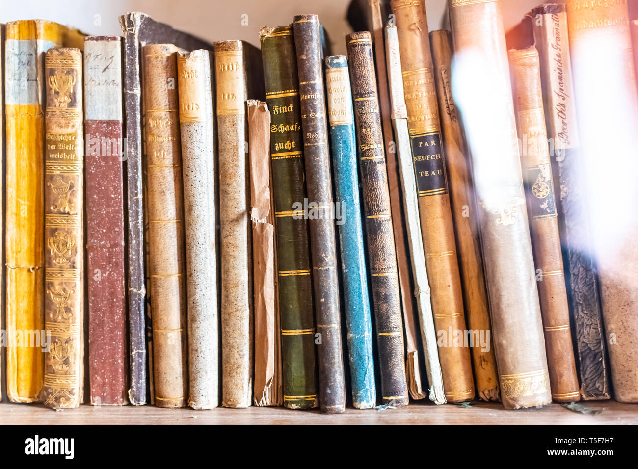 Beautiful ancient old books on shelf in the library Stock Photo - Alamy