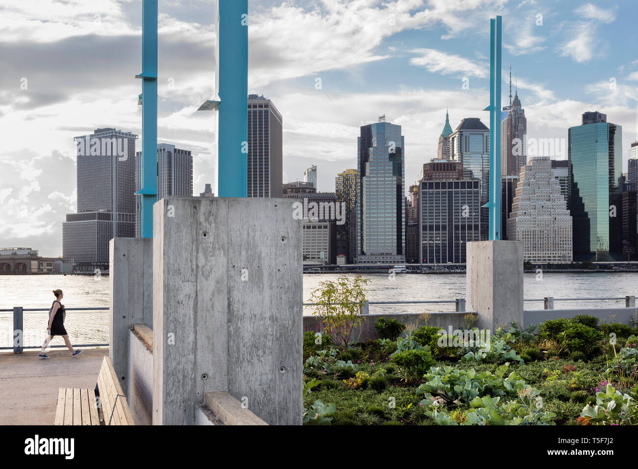 Planting around the perimeter among remains of the former warehouse ...