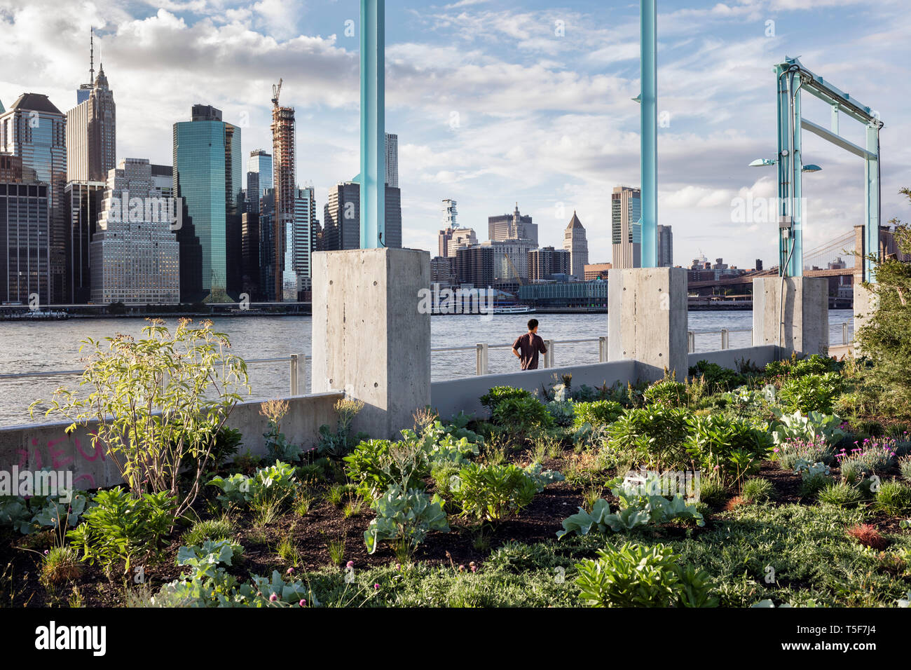 Planting around the perimeter among remains of the former warehouse ...