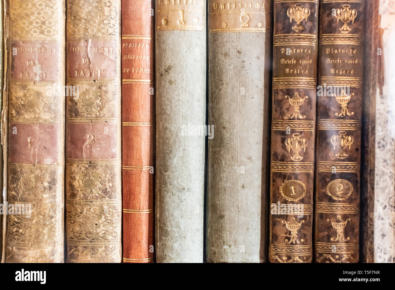 Beautiful ancient old books on shelf in the library Stock Photo - Alamy