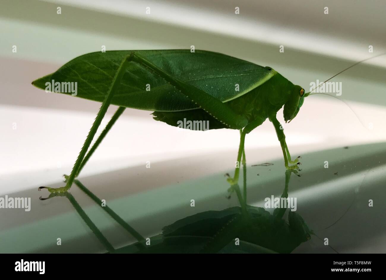 Spaceage hi-res stock photography and images - Alamy