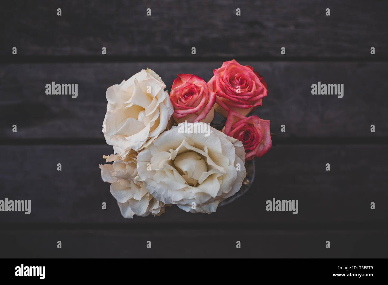 Caring for roses hi-res stock photography and images - Alamy