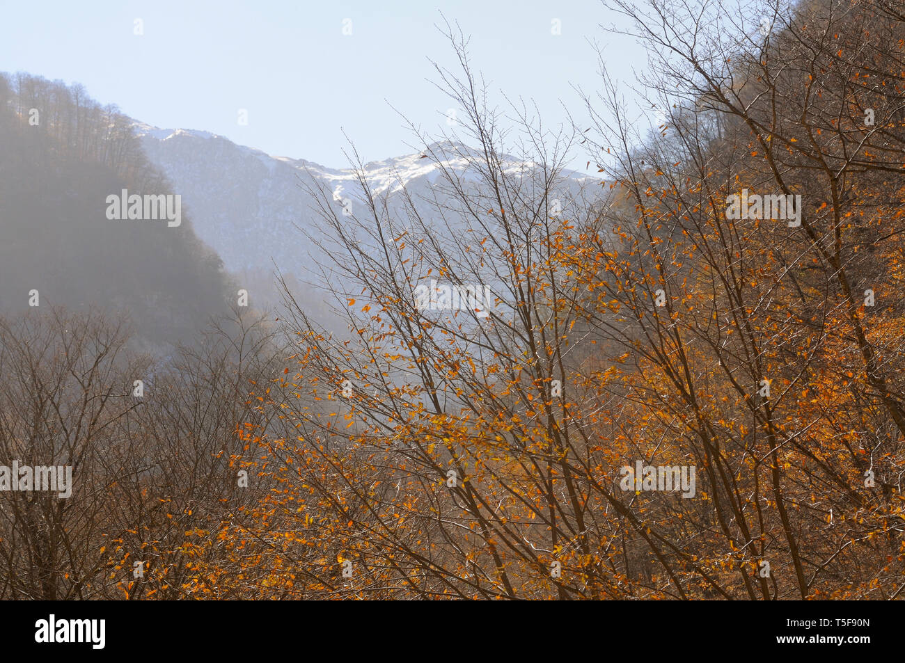 Landscape panorama with forest, mountains and lake.Azerbaijan.Caucasus ...