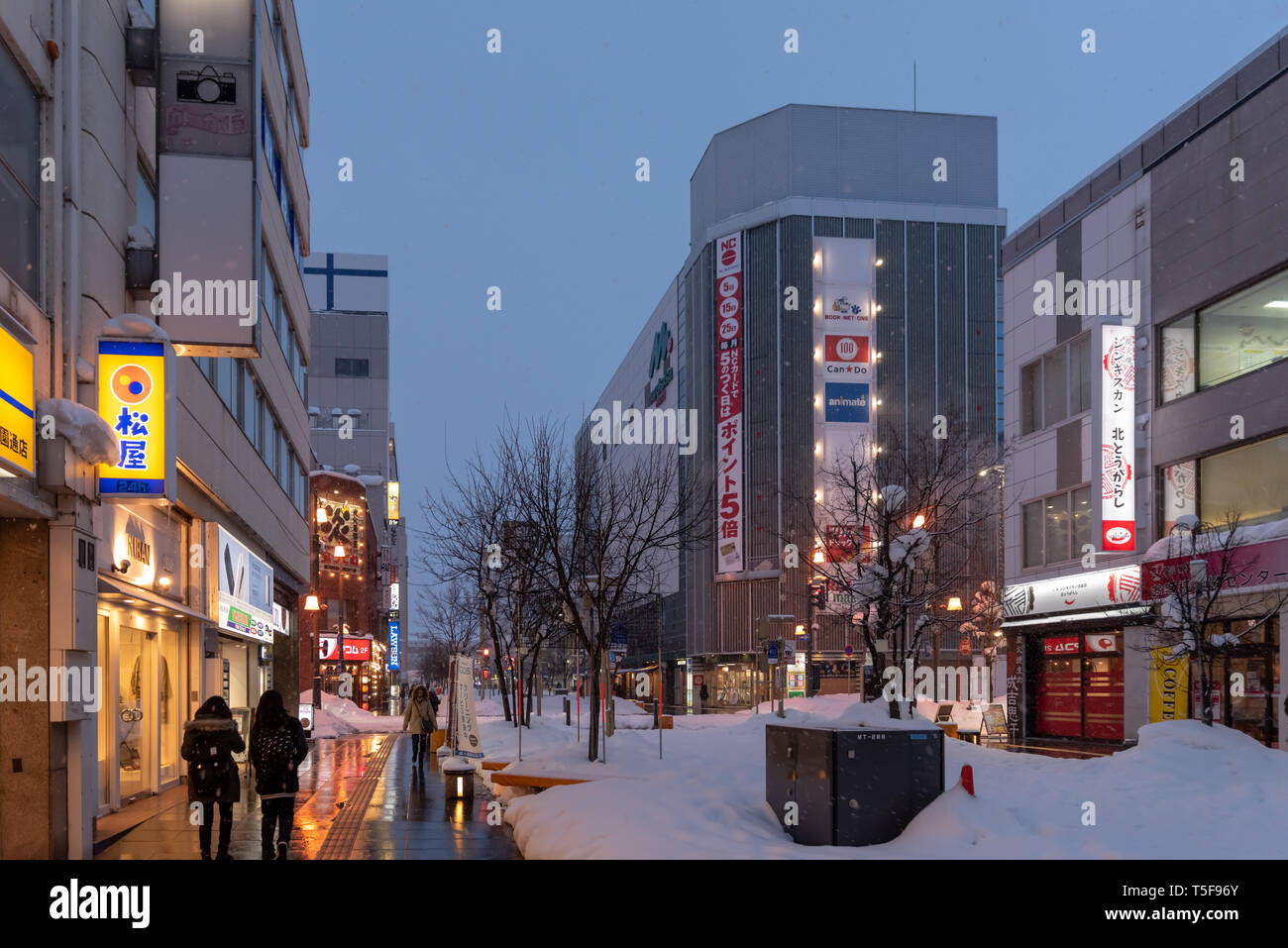 Asahikawa winter festival hi-res stock photography and images - Alamy