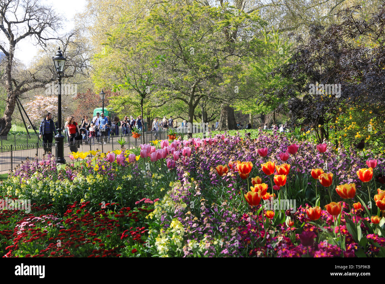 Colourful flower beds at springtime in St James's Royal Park in central ...