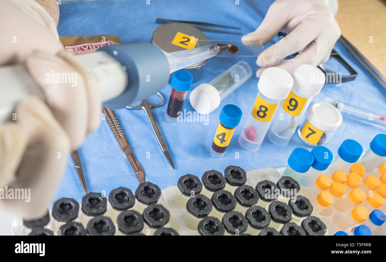 Chemical laboratory scene hi-res stock photography and images - Alamy