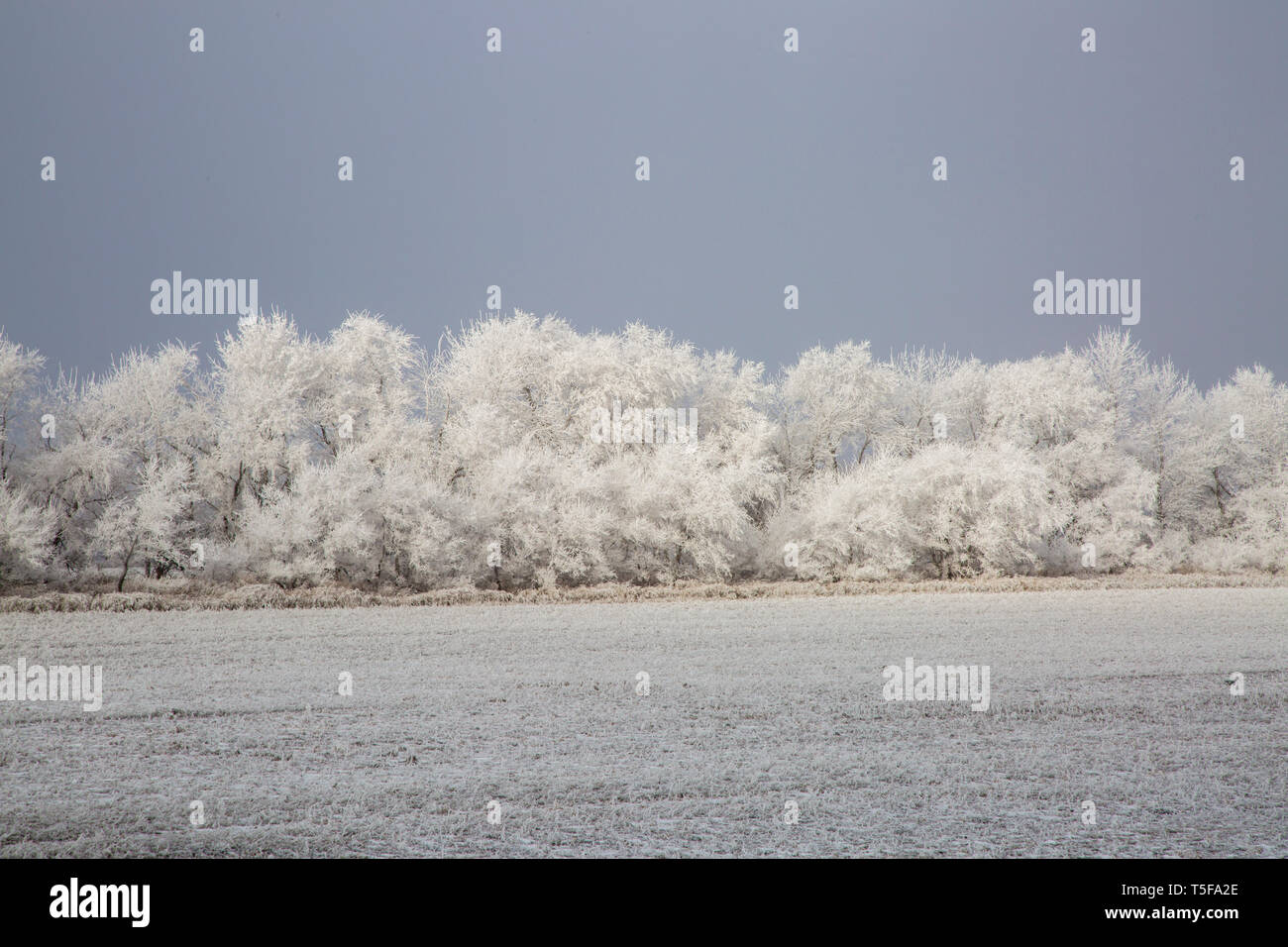 North dakota winter hi-res stock photography and images - Alamy