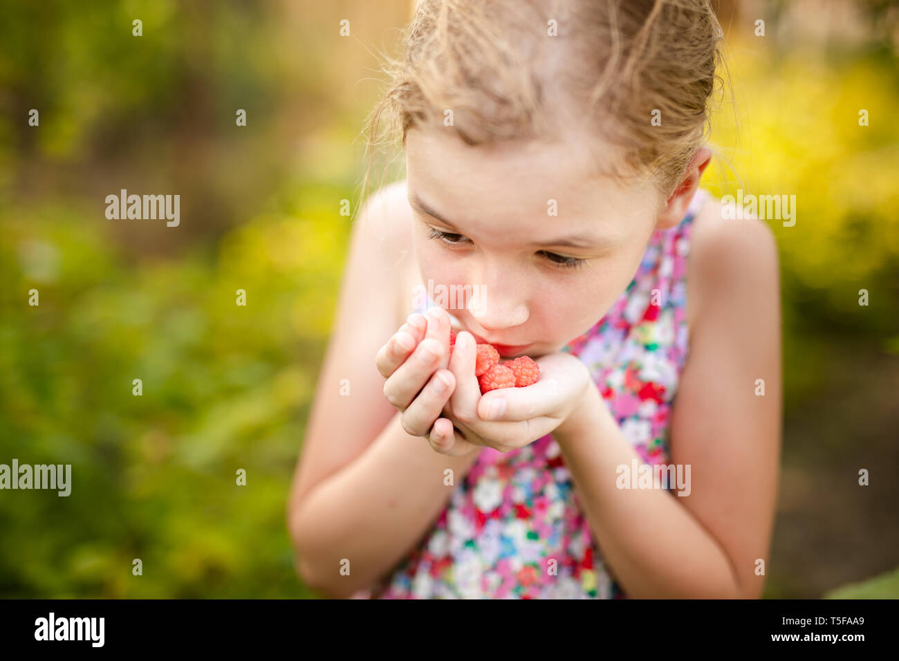Blonde girl eating fresh raspberry. Farm concept, green summer ...
