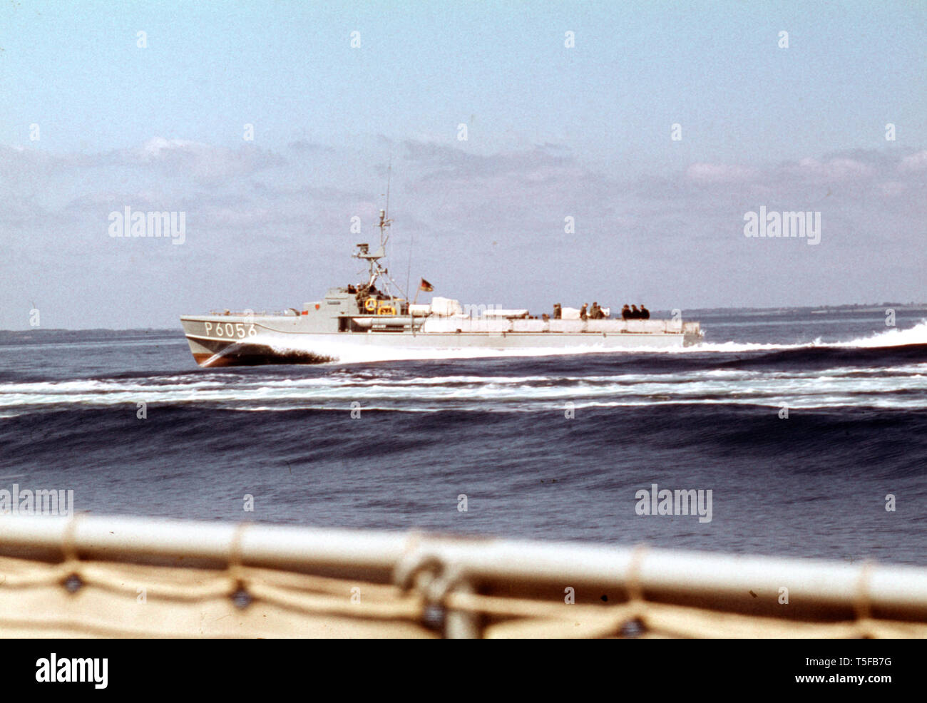 Raubmowe hi-res stock photography and images - Alamy