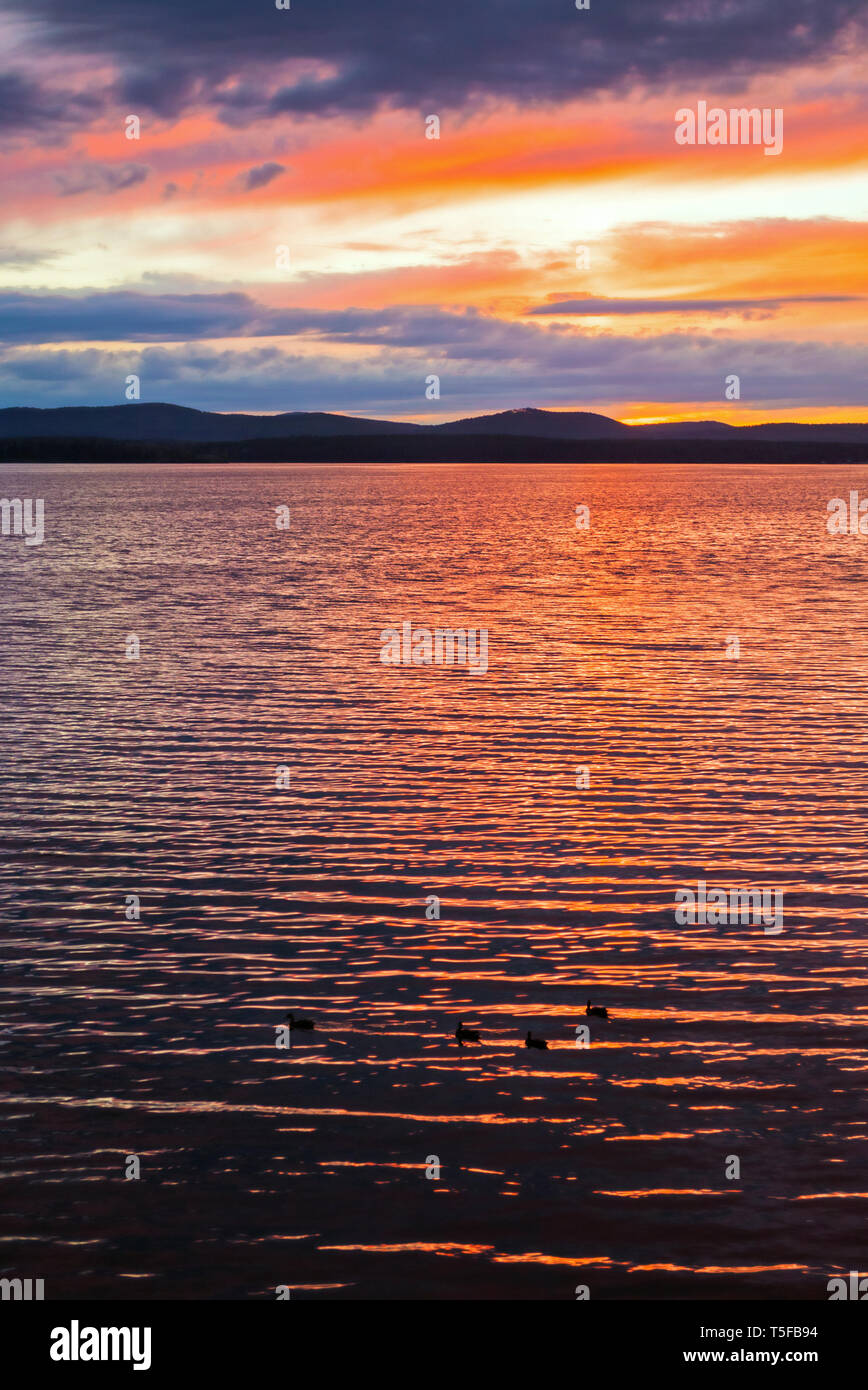 Sea landscape. Sea water lit by sunset light. Summer sunny water scene ...
