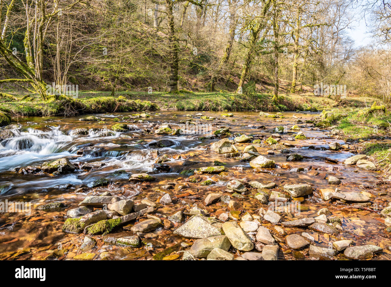 Horner Water, Devon, England Stock Photo - Alamy