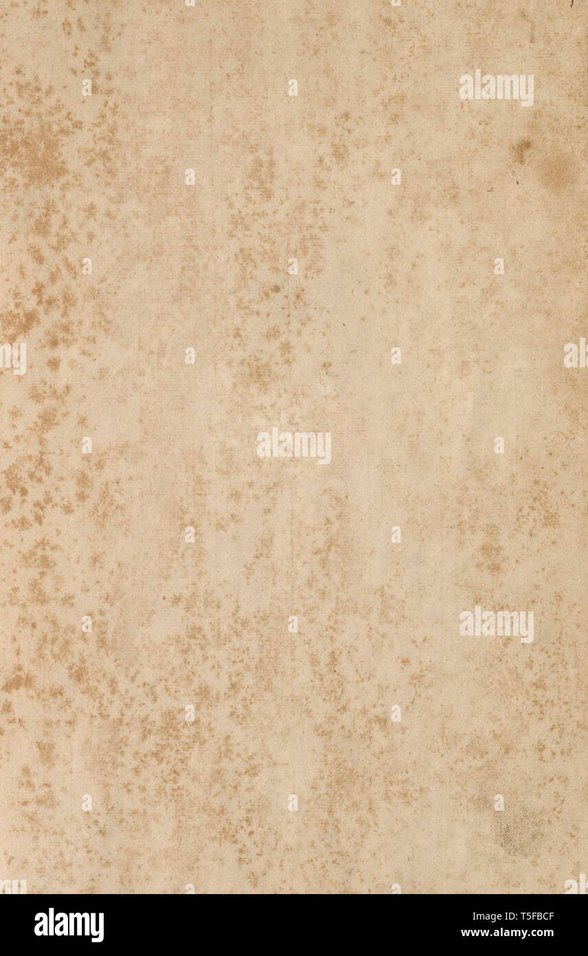 Antique frame 16th century hi-res stock photography and images - Alamy