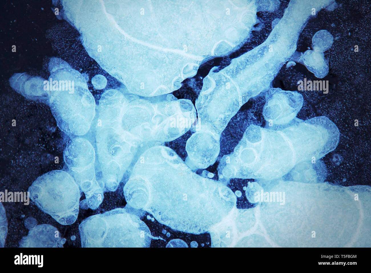 structure, pattern and crystals of newly formed ice called the nylas ...