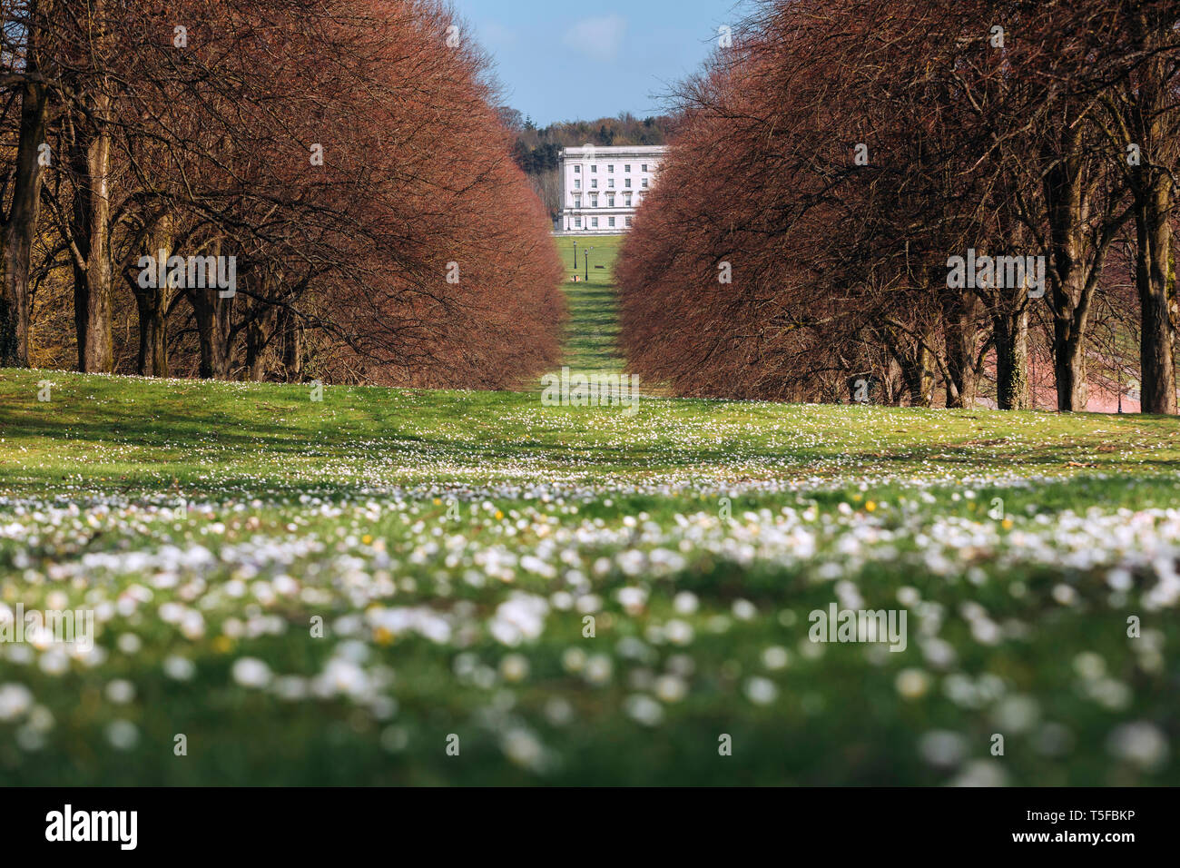 Stormont gardens hi-res stock photography and images - Alamy