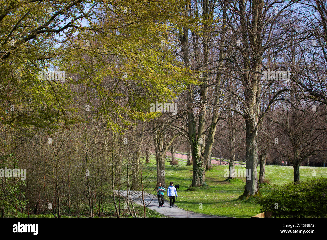 Stormont Grounds in Spring, Belfast Stock Photo - Alamy
