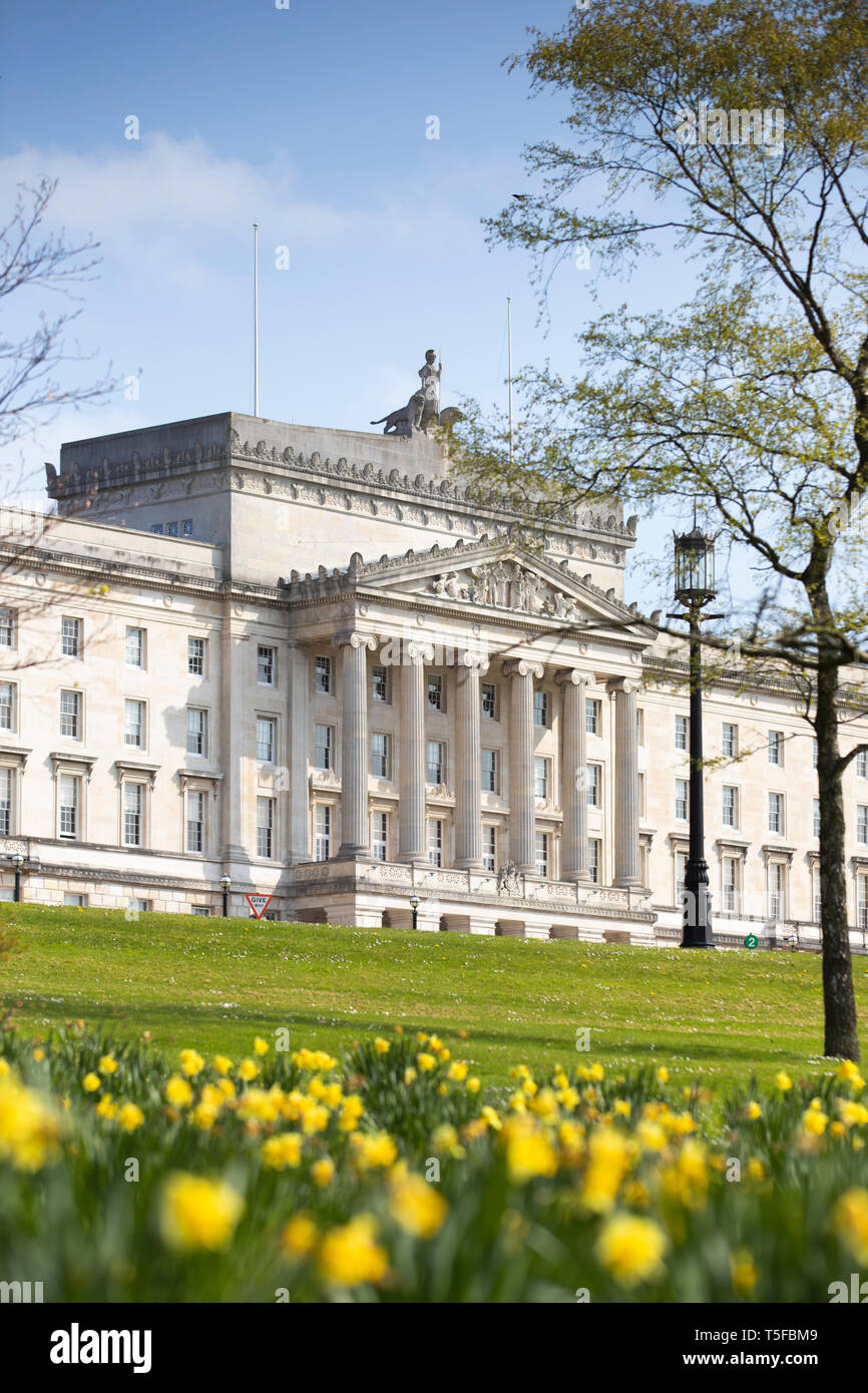 Stormont Grounds in Spring, Belfast Stock Photo - Alamy