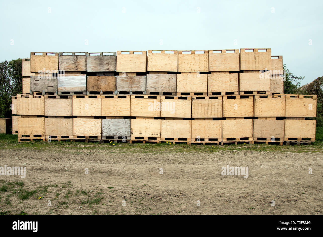 Stack of wooden boxes Stock Photo - Alamy