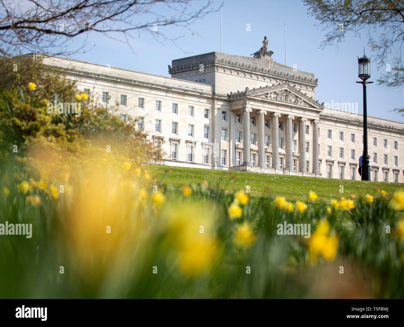 Stormont Grounds in Spring, Belfast Stock Photo - Alamy