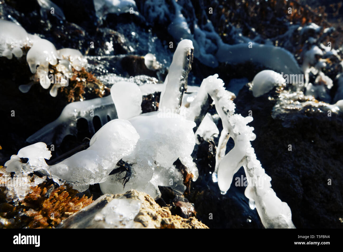Mountain river on frosty day and icing stones. Becomes clear mechanism ...