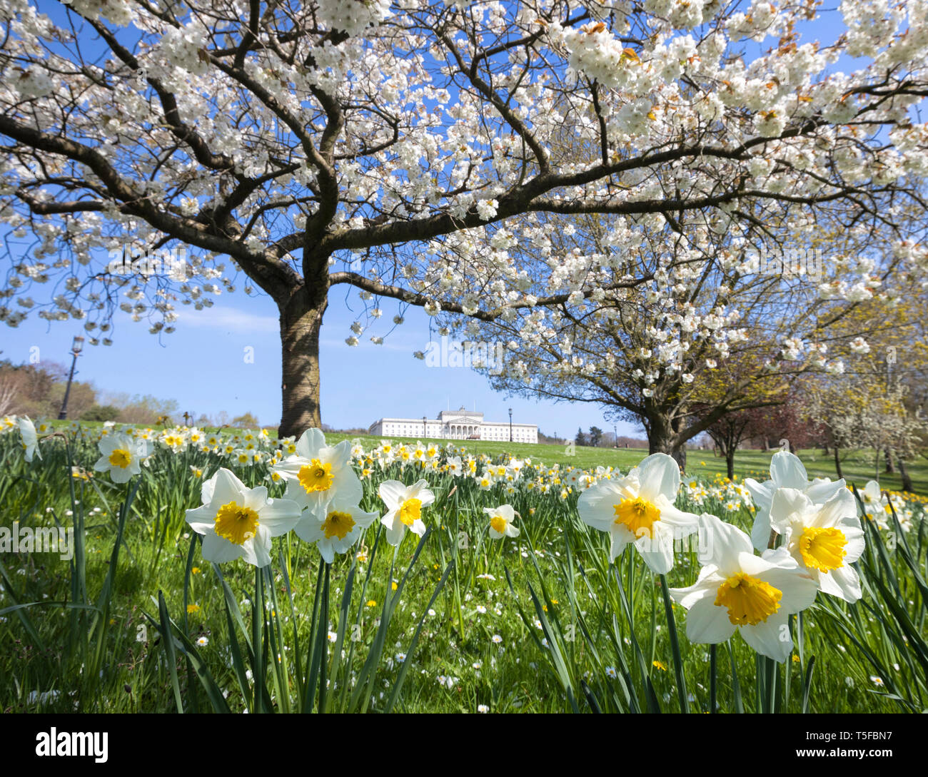 Stormont gardens hi-res stock photography and images - Alamy