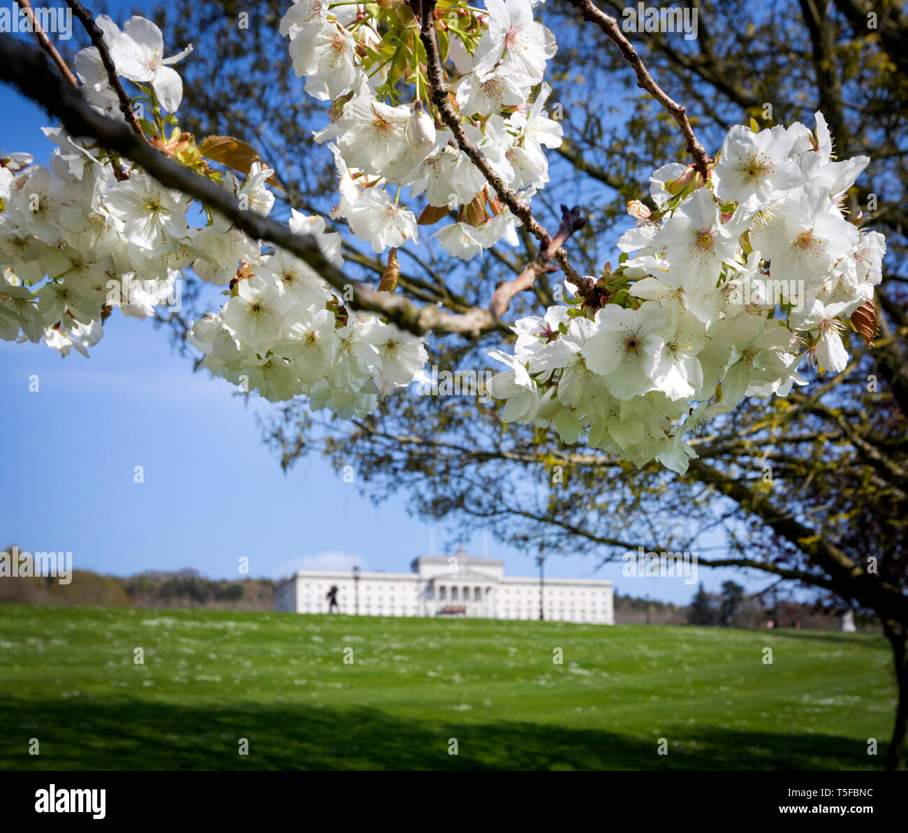 Stormont gardens hi-res stock photography and images - Alamy