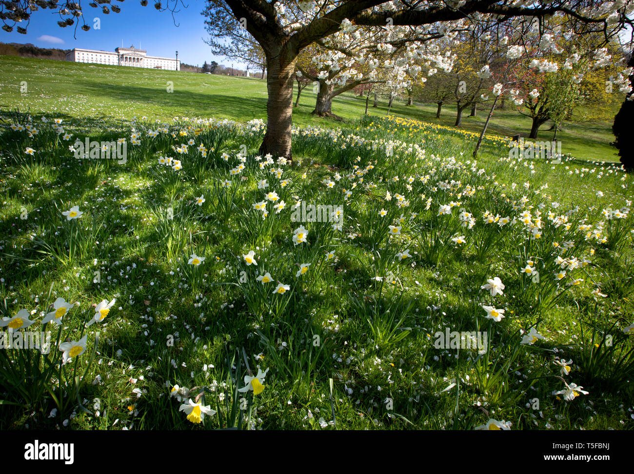 Stormont gardens hi-res stock photography and images - Alamy