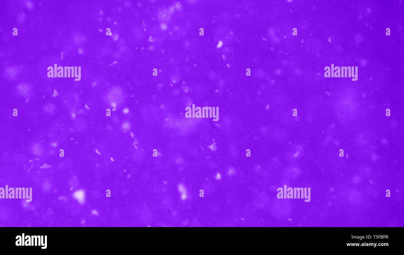 Bio ultra macro background. Organic vegetable background with a big ...