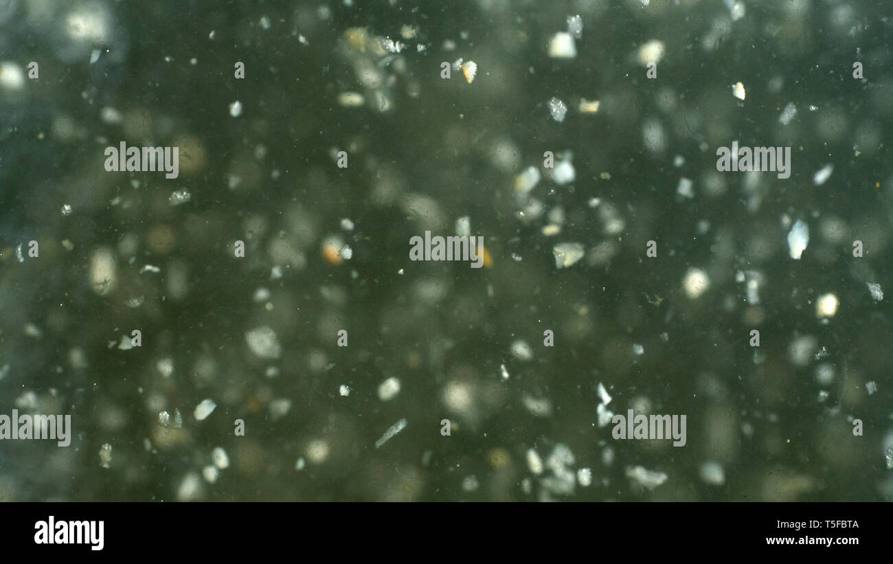 Aqua bio background with particles of plant origin ultra macro ...