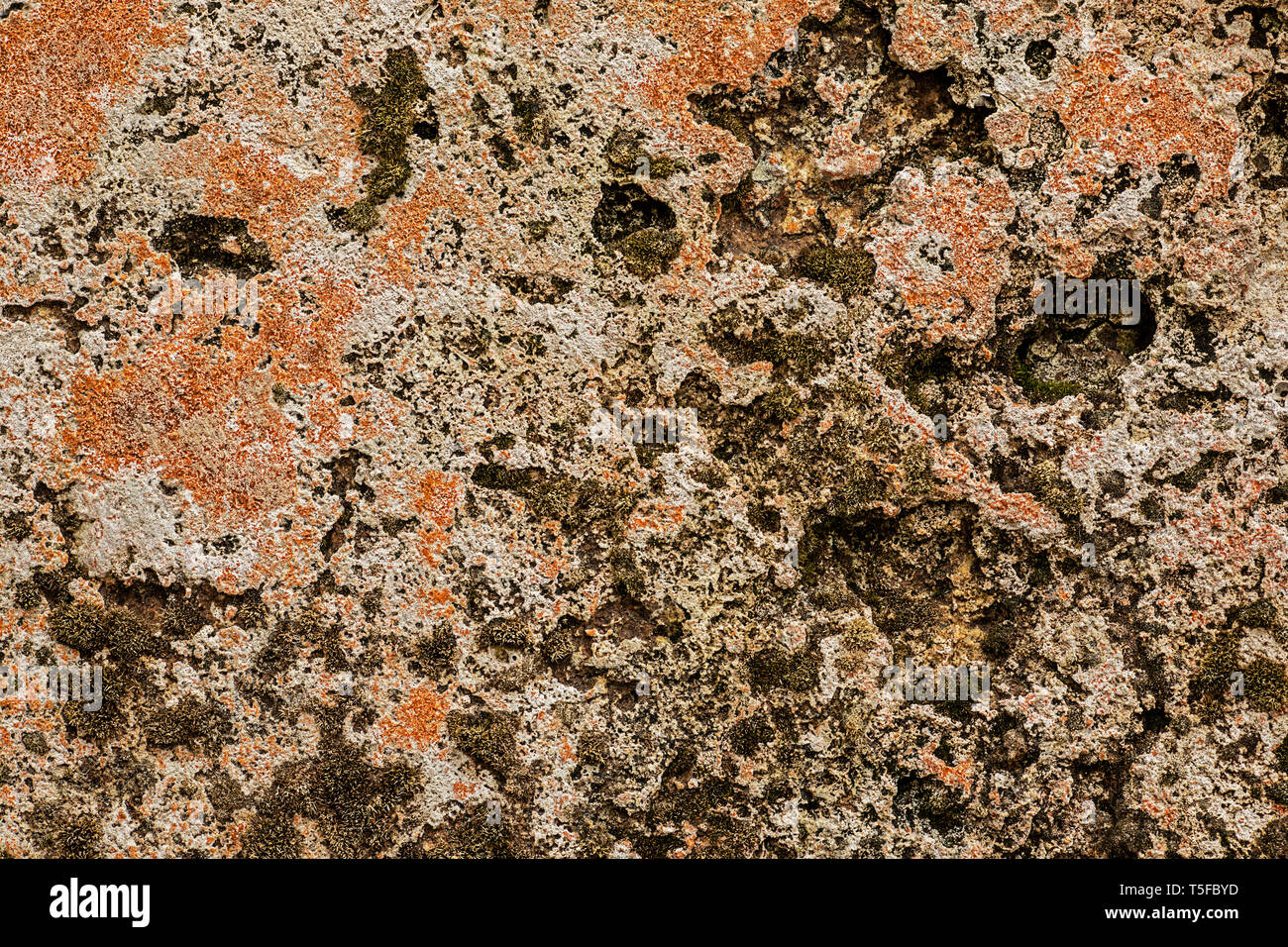 texture background rock in places overgrown with moss Stock Photo - Alamy