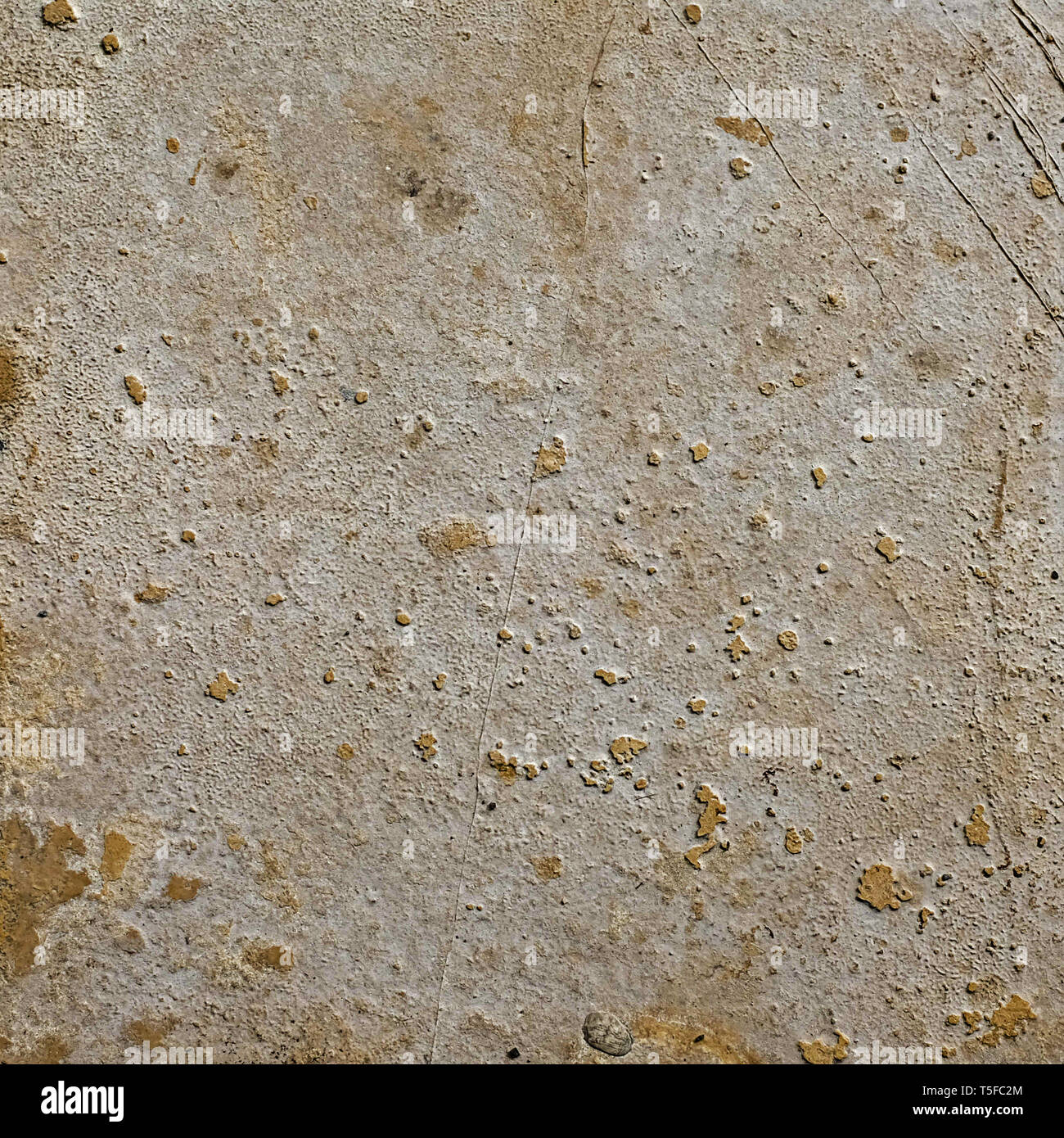 Limestone floor hi-res stock photography and images - Alamy