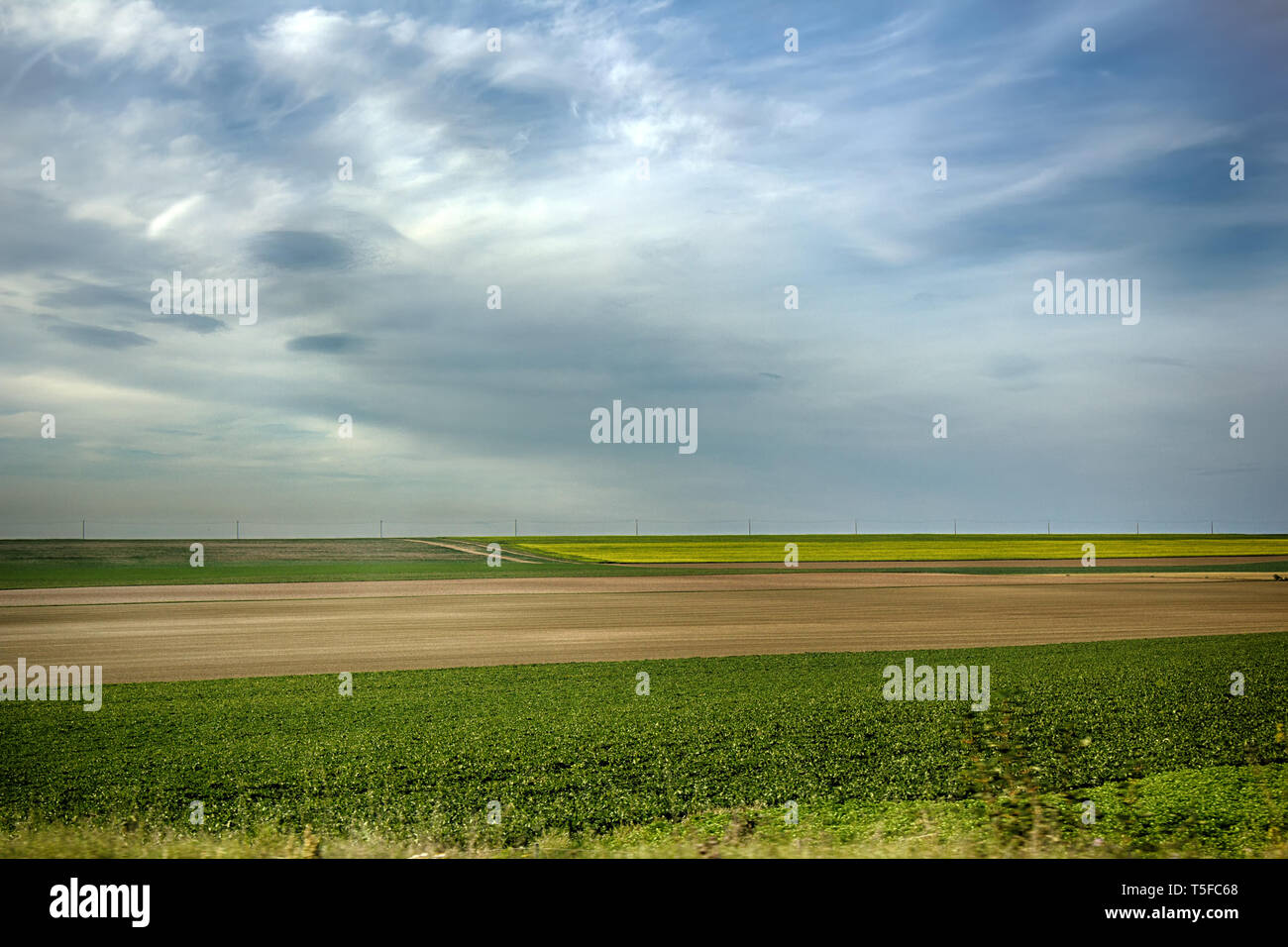 Agriculture crops farming vermin hi-res stock photography and images ...