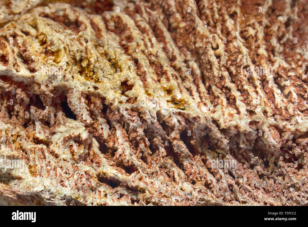 Barium salts hi-res stock photography and images - Alamy