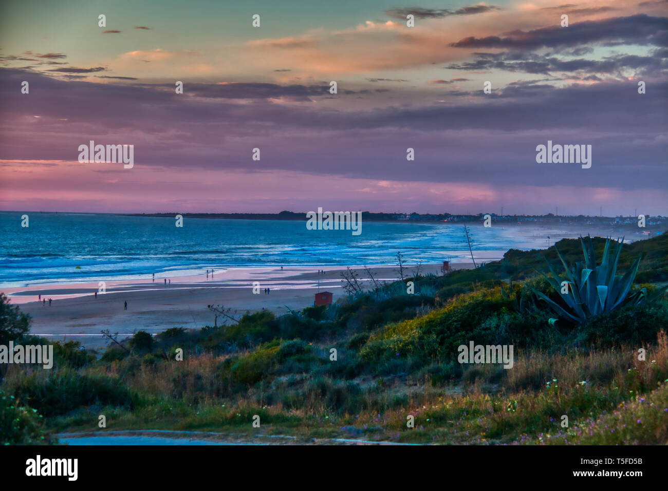 Barrosa hi-res stock photography and images - Alamy