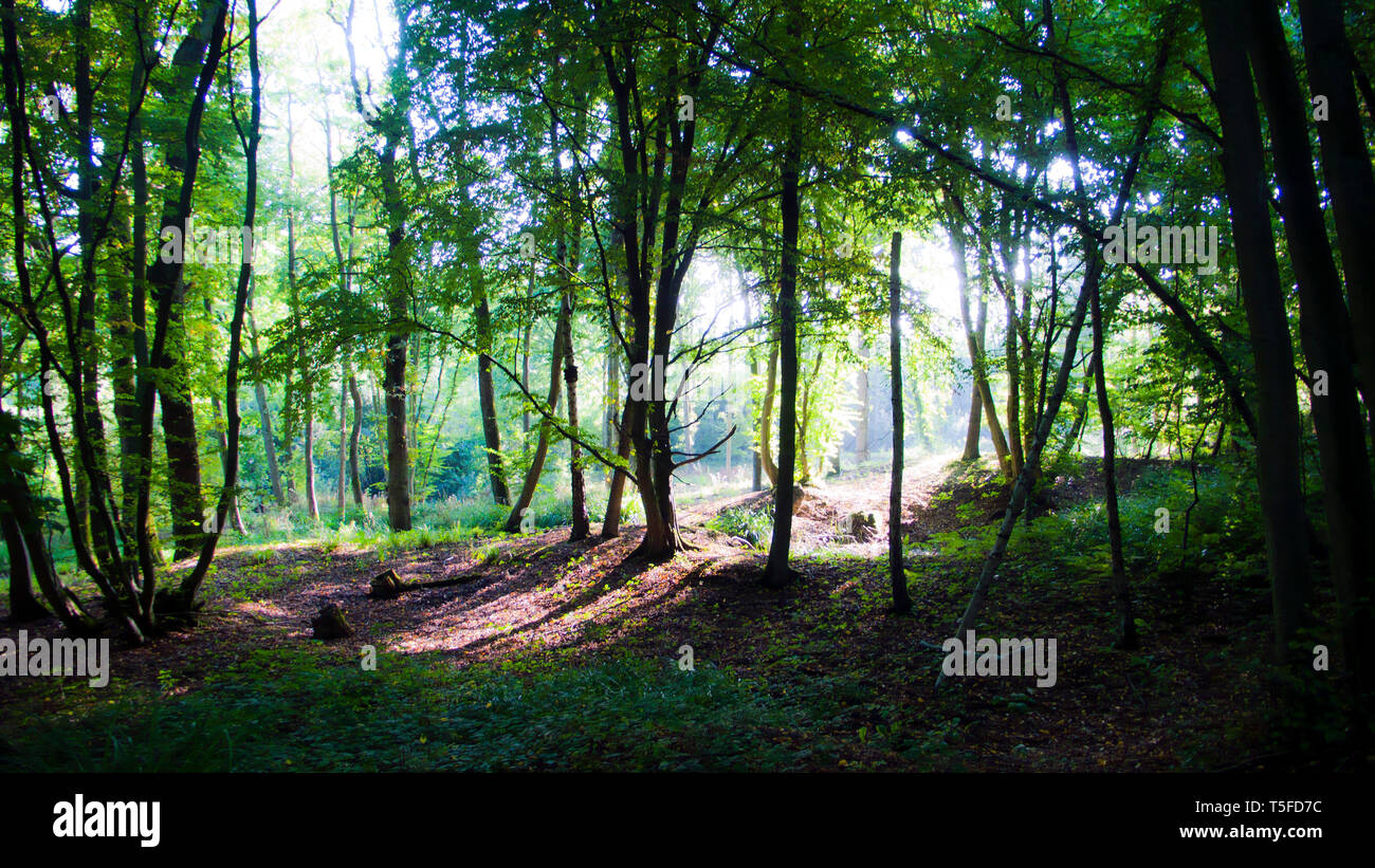 Blockhaus d’eperlecques hi-res stock photography and images - Alamy