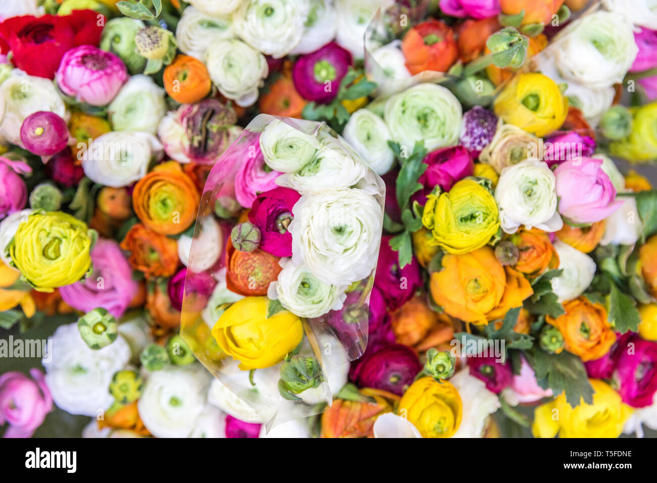Multi colored flower bouquet hi-res stock photography and images - Alamy