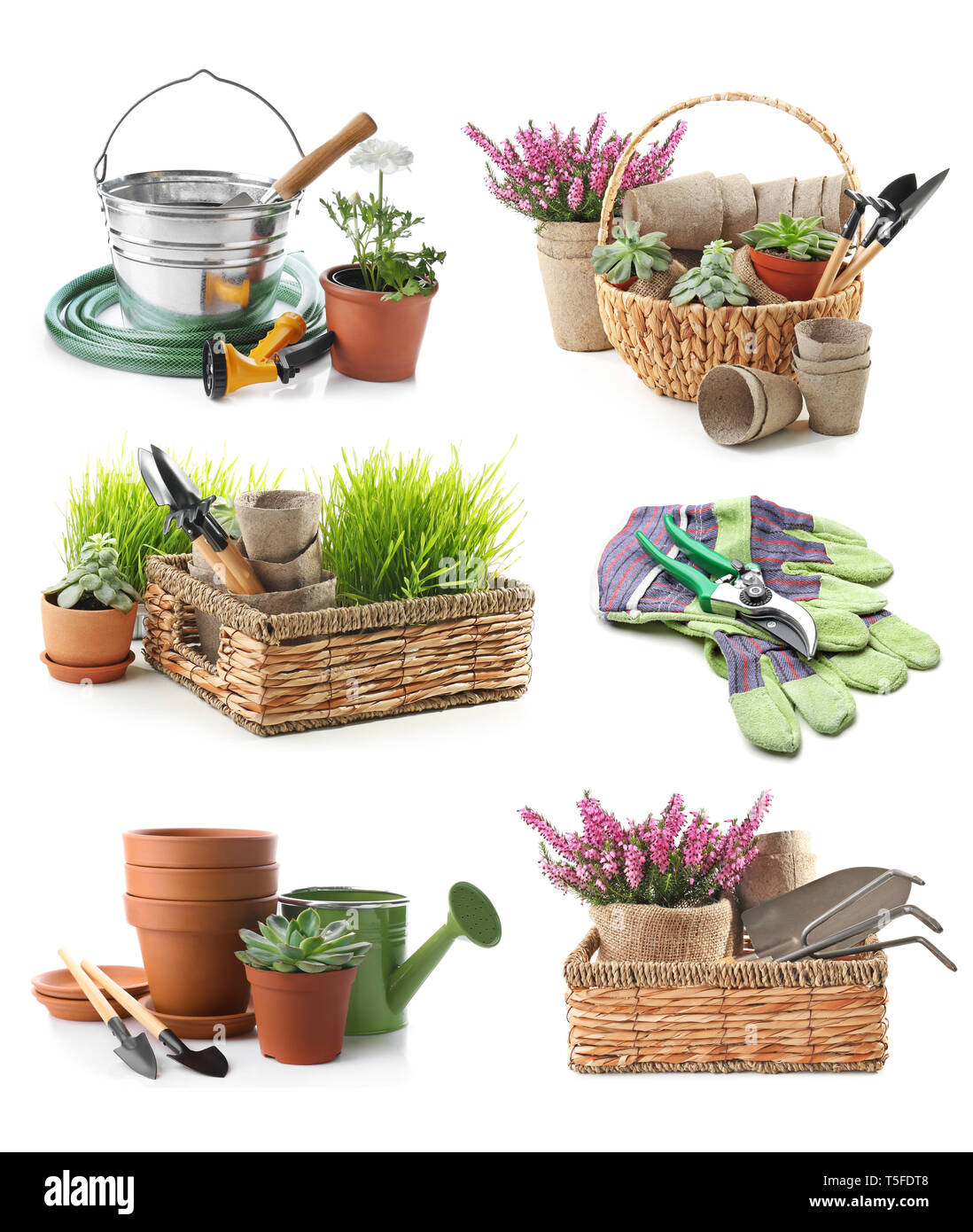 Set of gardening equipment with plants on white background Stock Photo ...