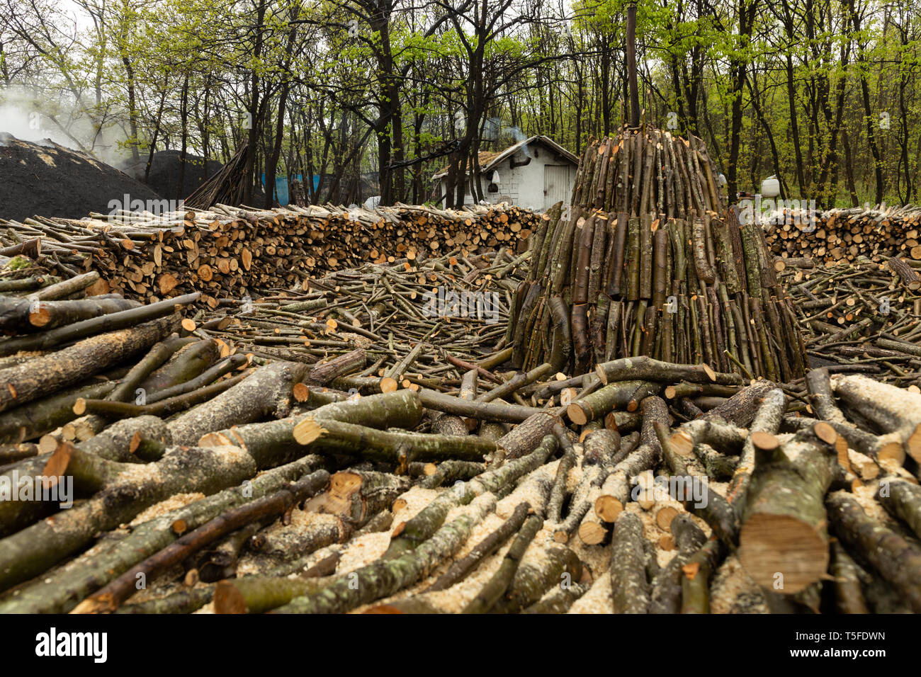 building a pyre for charcoal making in the forests Stock Photo - Alamy