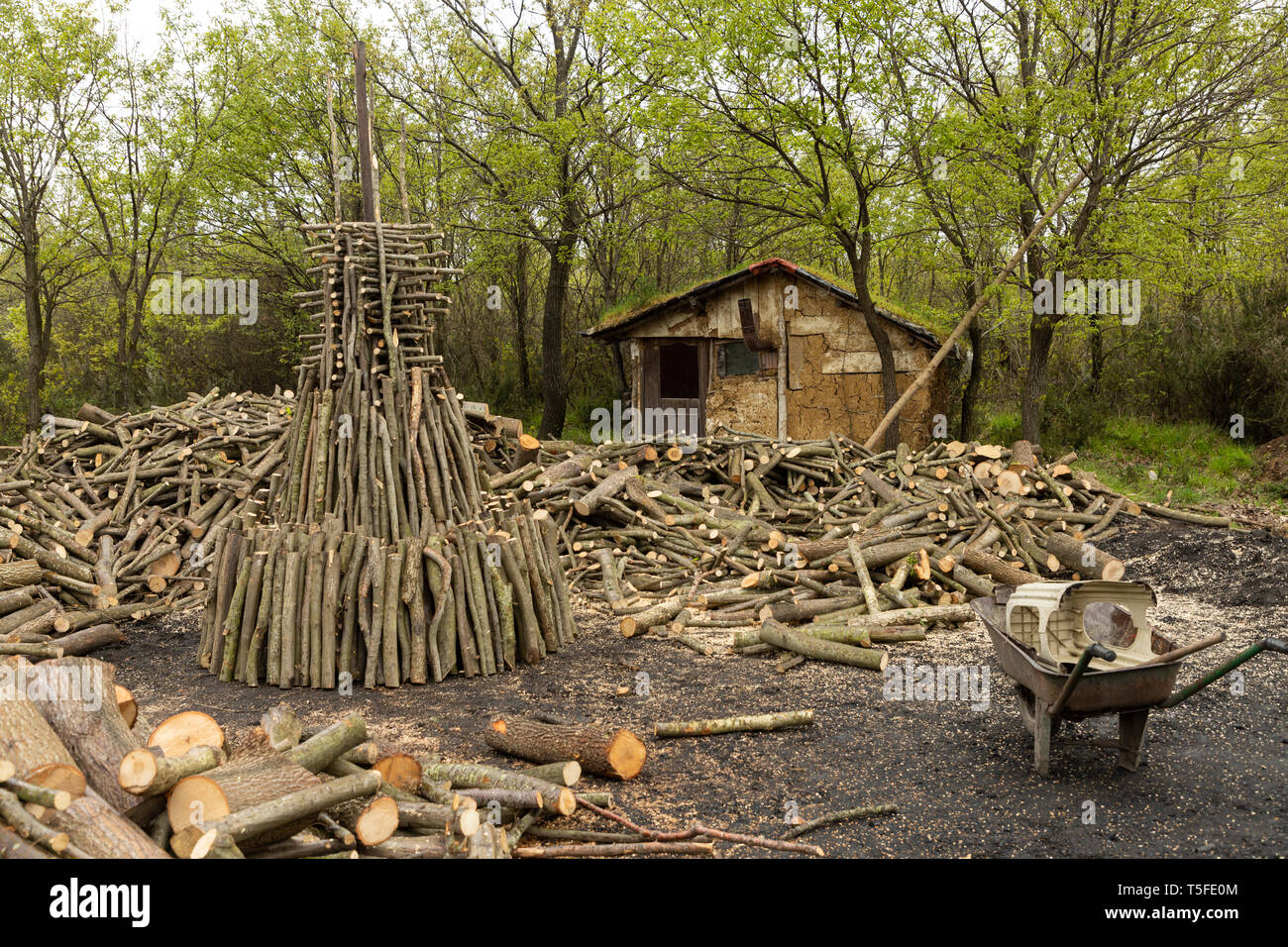 building a pyre for charcoal making in the forests Stock Photo - Alamy