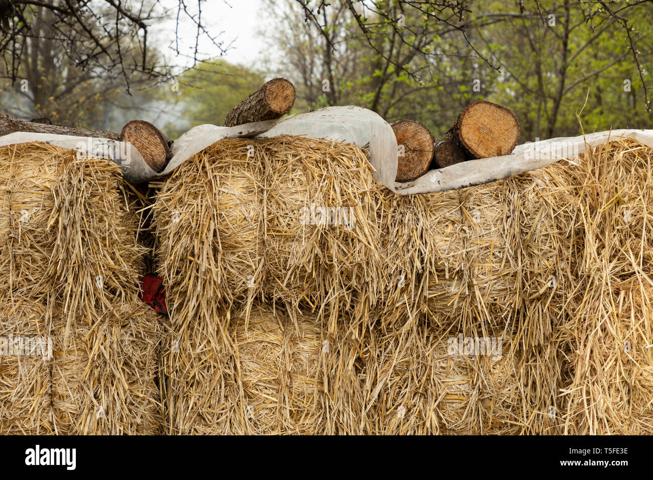 bales of hay for covering the charcoal making mounds Stock Photo - Alamy