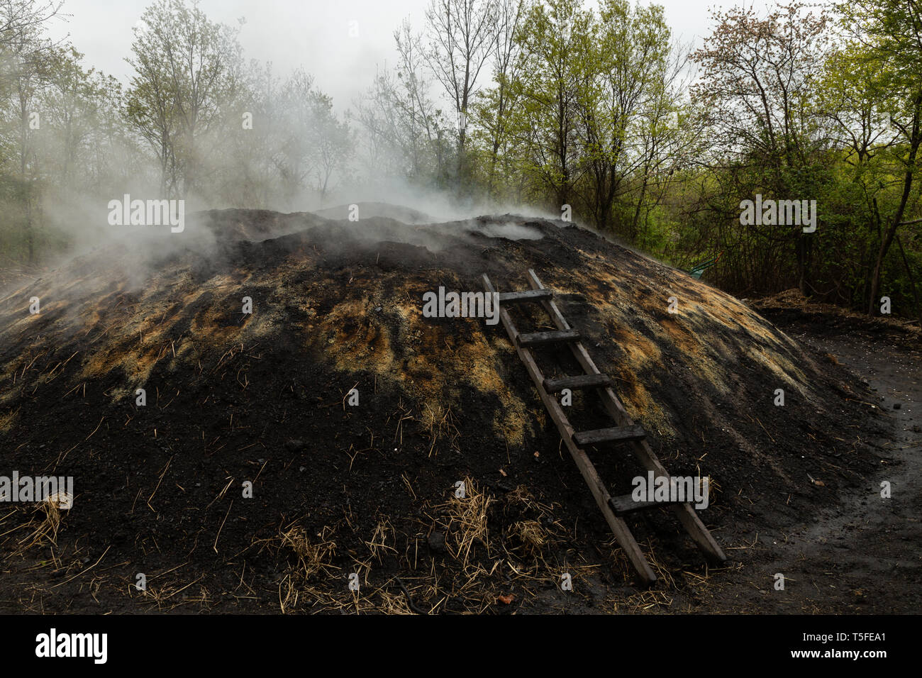 smouldering pyre of wood in the making of charcoal Stock Photo - Alamy