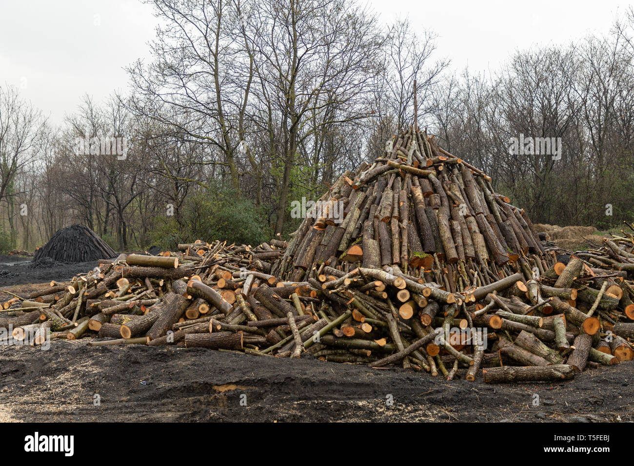 Wood Pyre High Resolution Stock Photography and Images - Alamy