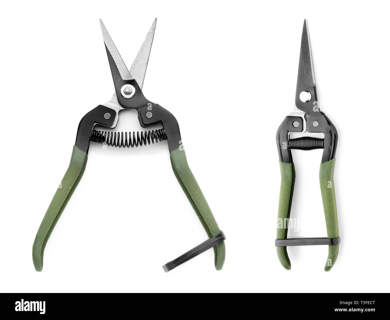 Garden pruners on white background Stock Photo - Alamy