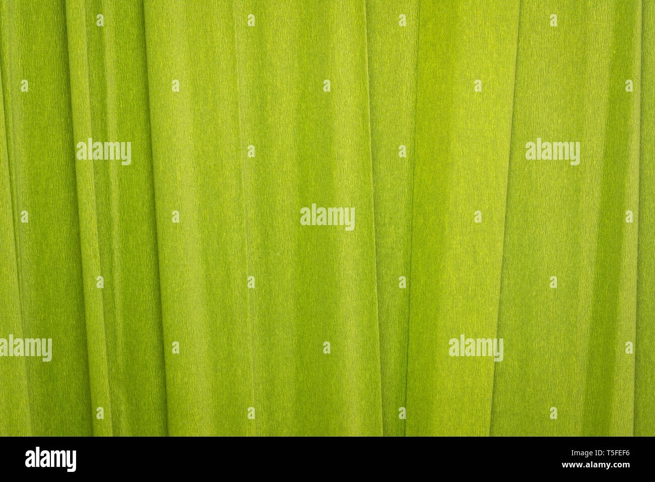 green crepe paper - background with crinkled texture Stock Photo - Alamy